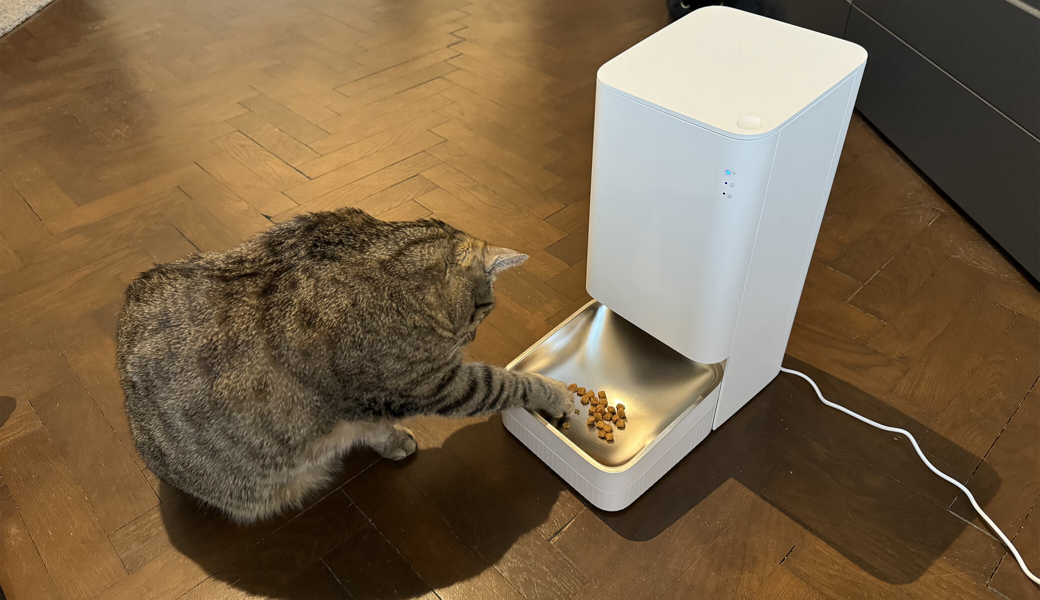 Recenze Xiaomi Smart Pet Food Feeder – Každá porce pod kontrolou – vždy ...